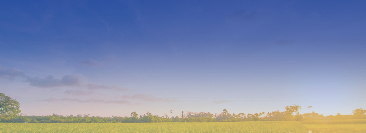 banner_bg